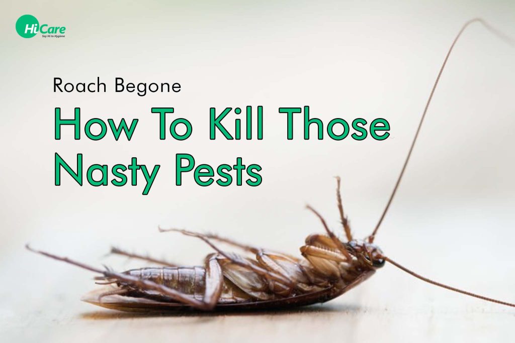 Roach Begone: How To Kill Those Nasty Pests - Blogs on Pest Control ...