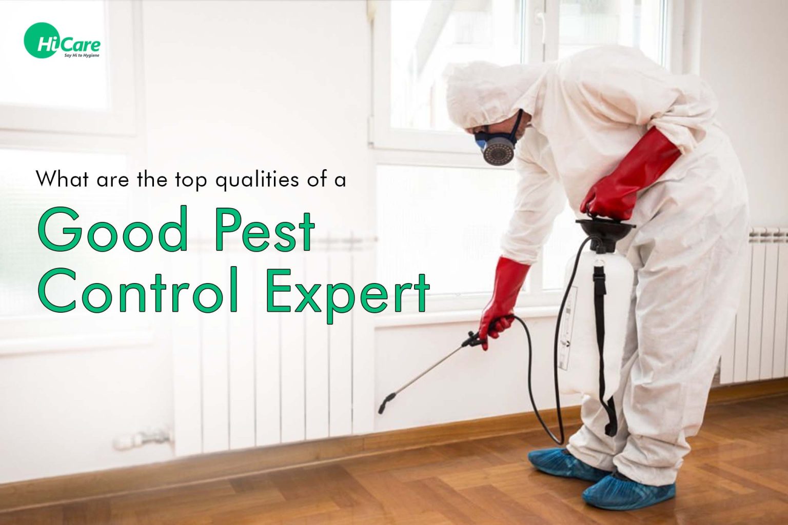What are the top 5 qualities of a good pest control expert | HiCare ...