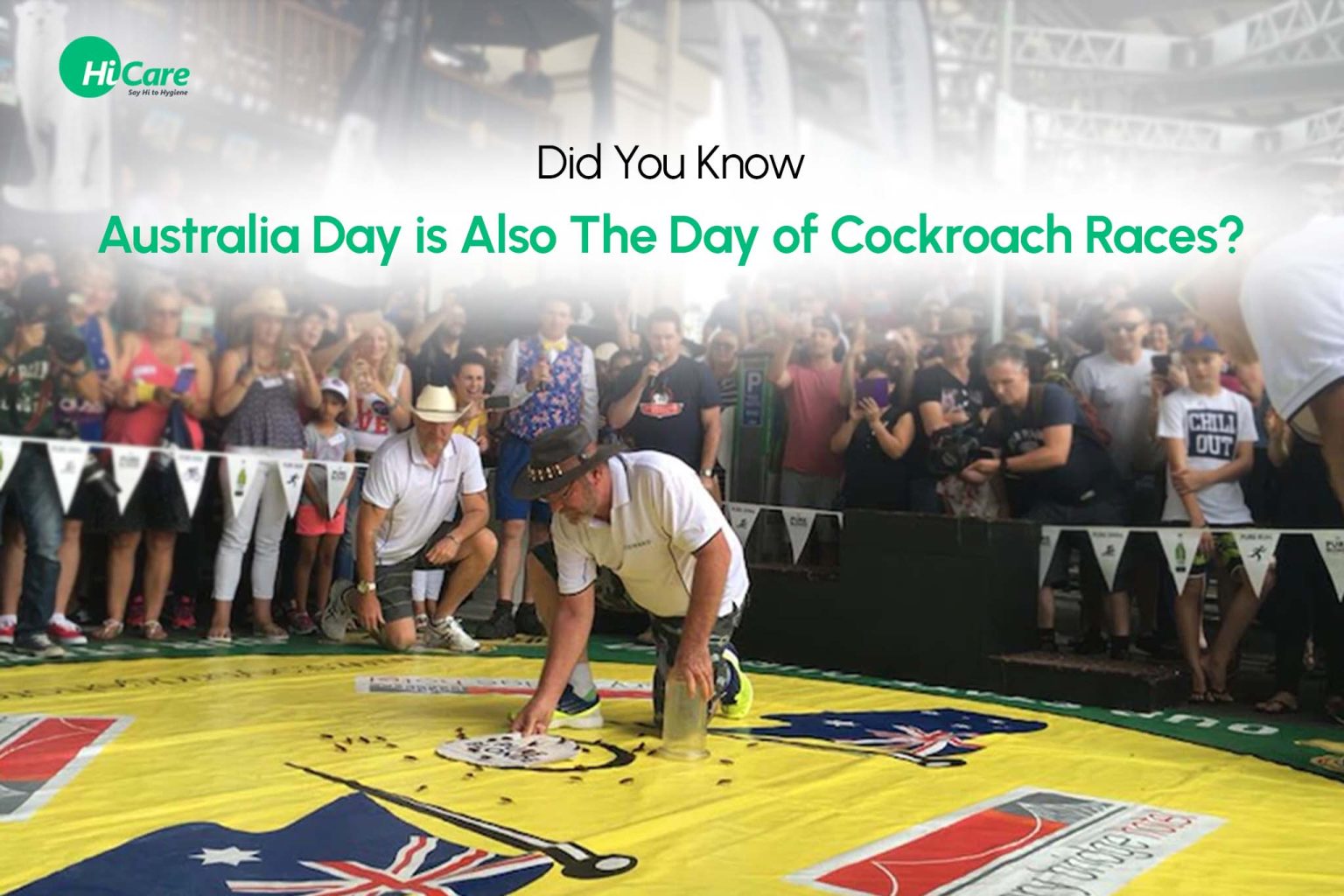Get Amazing Info about Cockroach Racing on Australia Day | HiCare