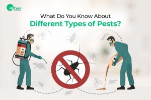 9 Different Types of Pests and Methods to Control Them | HiCare