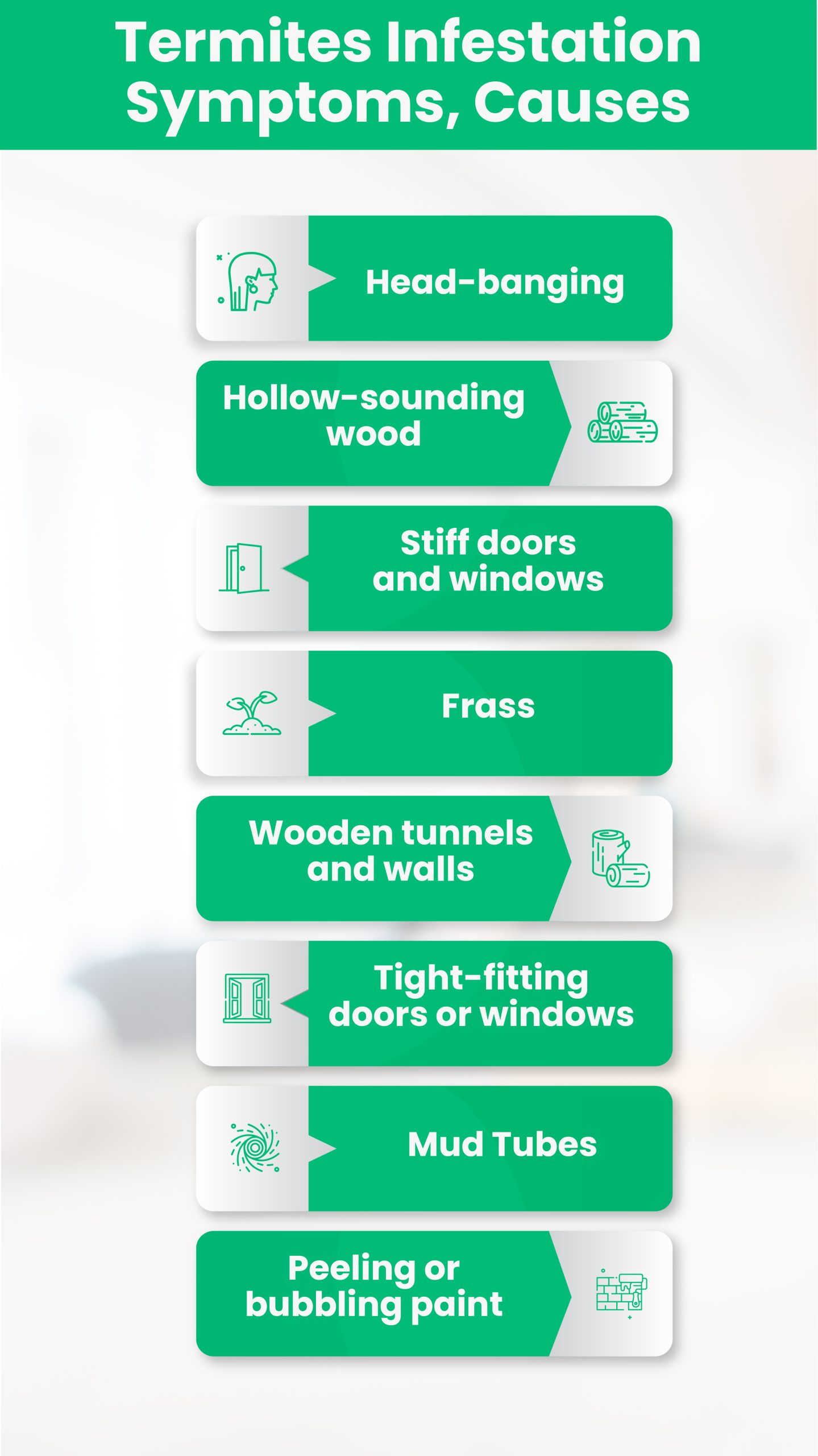 Top 10 Signs and 4 Major Causes of Termite Infestation | HiCare