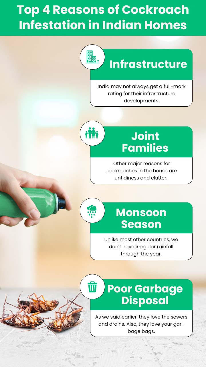 10 Common Reasons of Cockroach Infestation in Indian Homes | HiCare