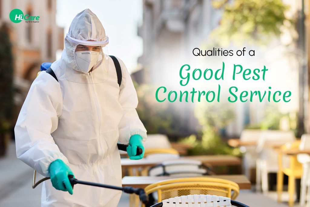 5 Top Qualities of a Good Pest Control Service Provider