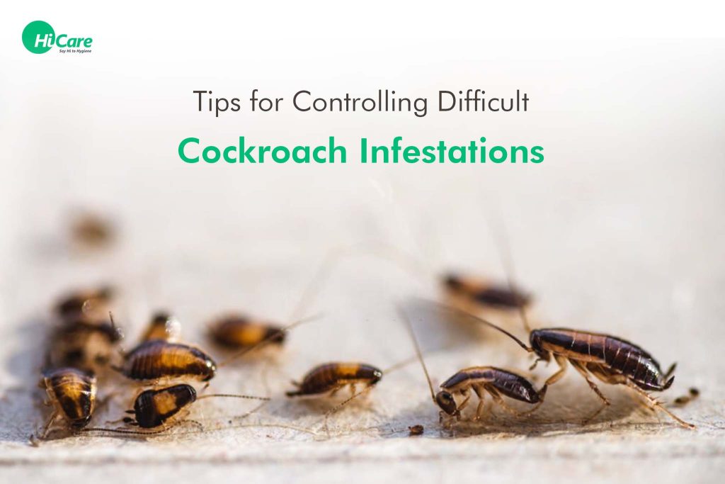 7 Tips on How to Control Difficult Cockroach Infestations at Home