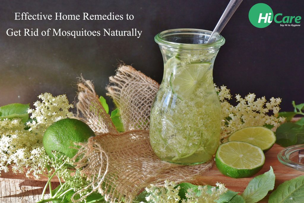 18 Best Home Remedies for Mosquitoes You Should Try | HiCare