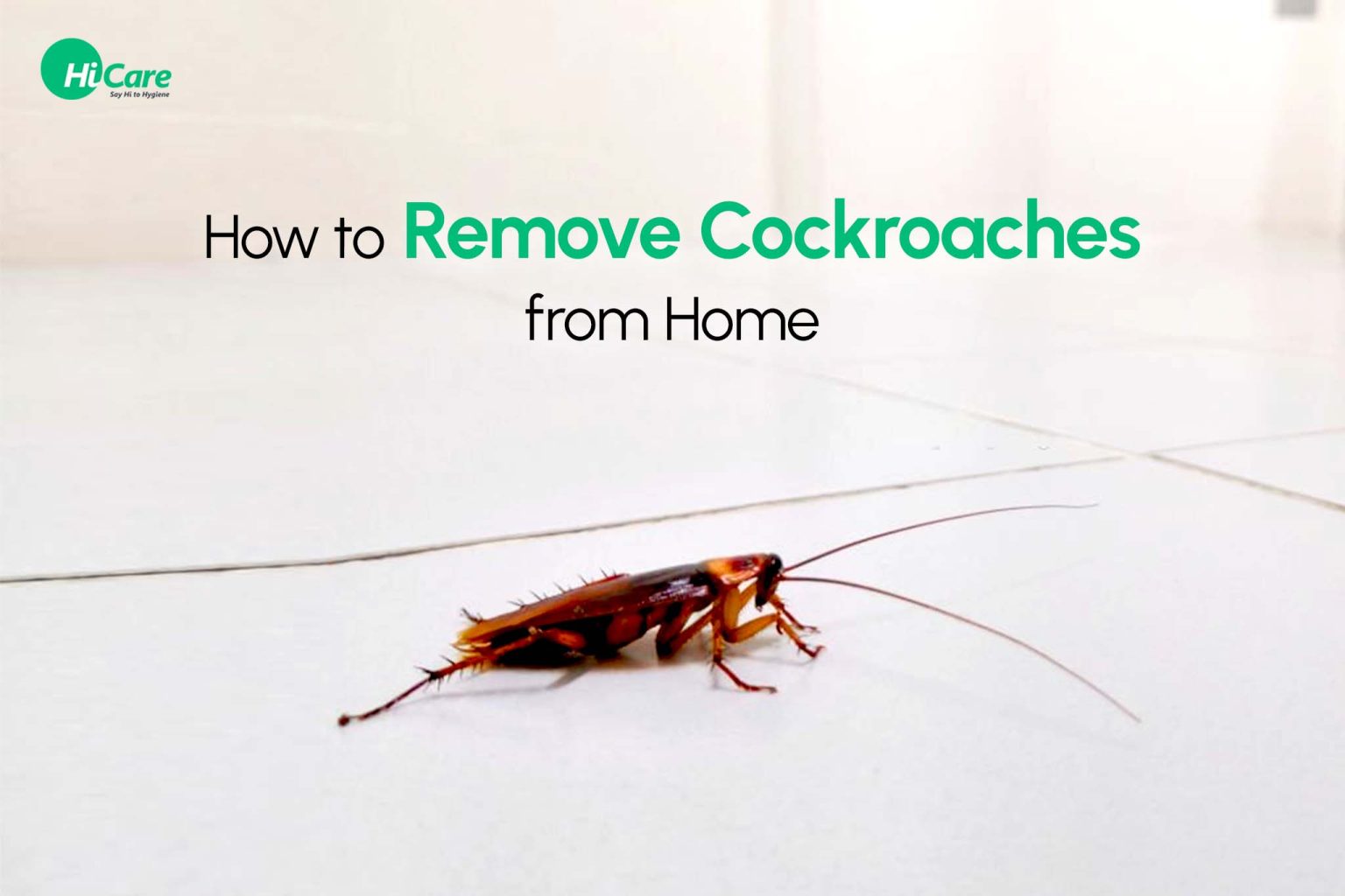 How to Remove Cockroaches from Home Guaranteed?