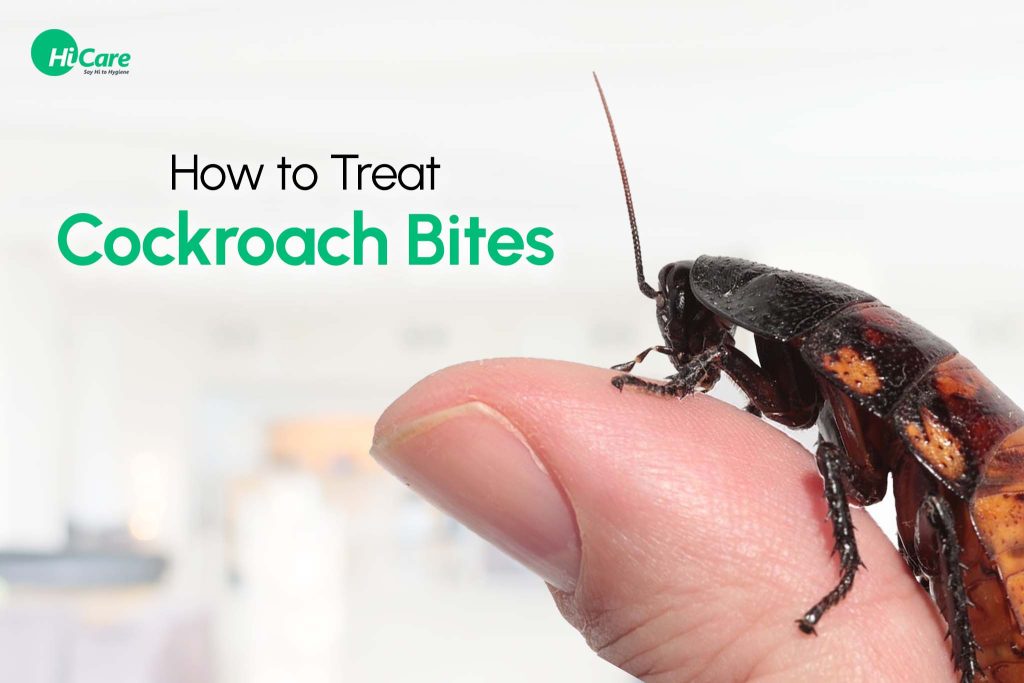 Cockroach Bite Check Symptoms Treatment And Prevention Tips