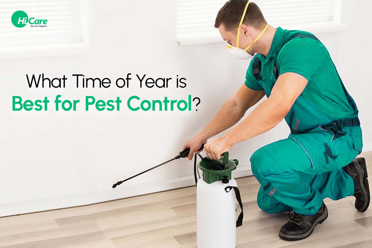 What is the best time of year to get a pest control service? HiCare