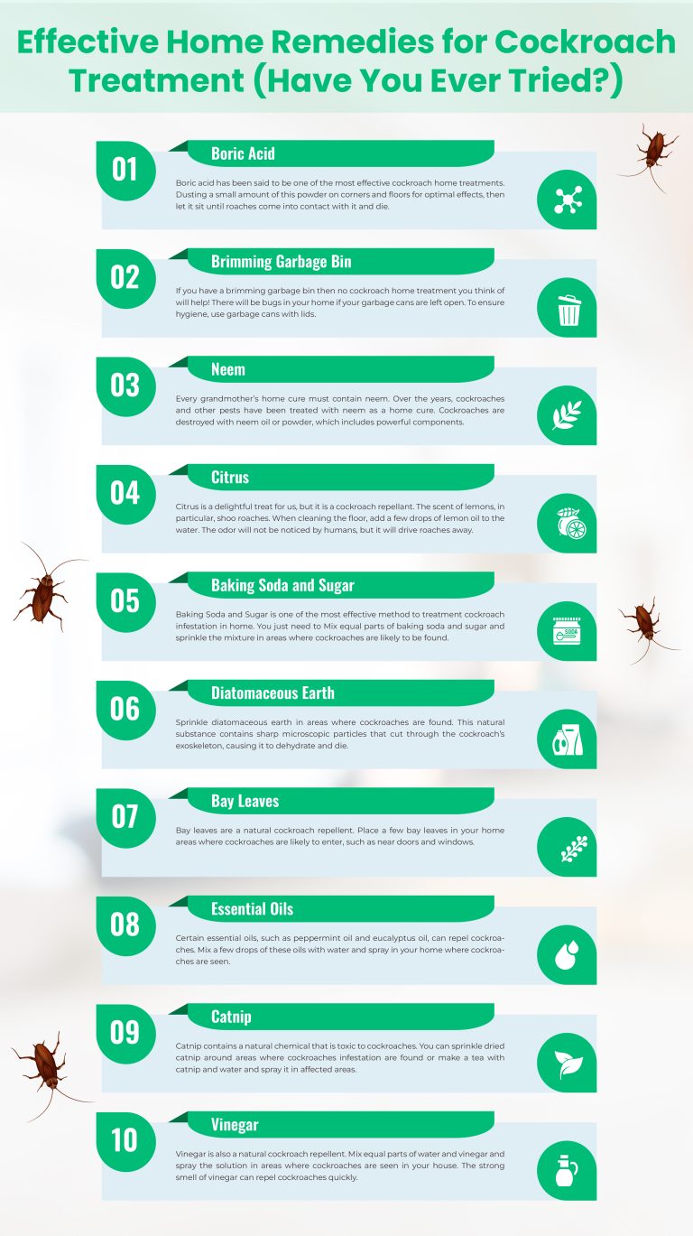 25 Simple Home Remedies for Cockroach Treatment You Must Try