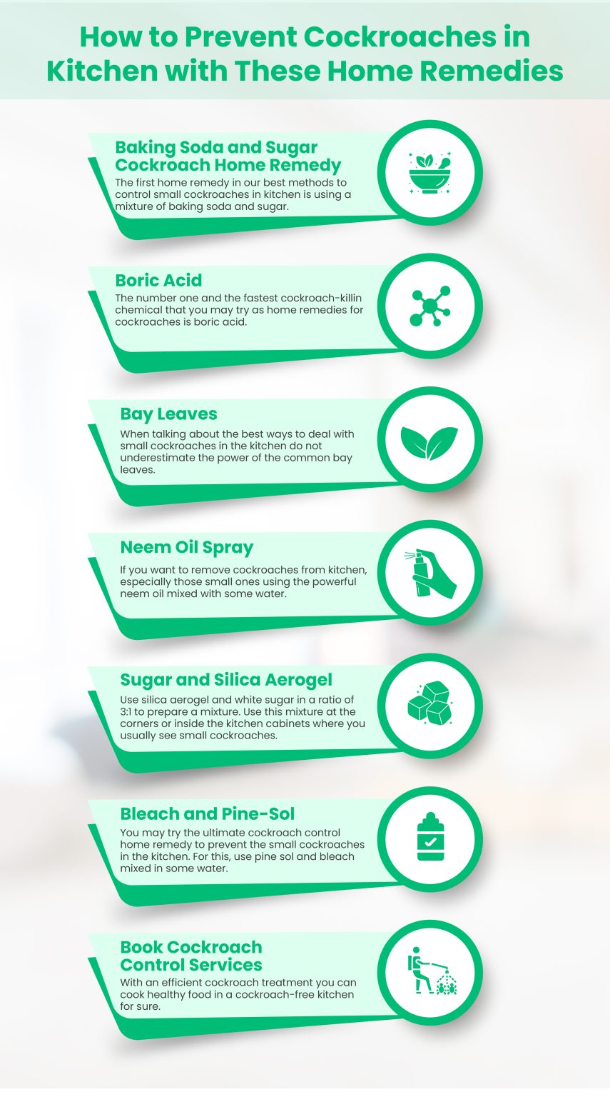 Top 25 DIY Home Remedies for Cockroaches Control in Kitchen