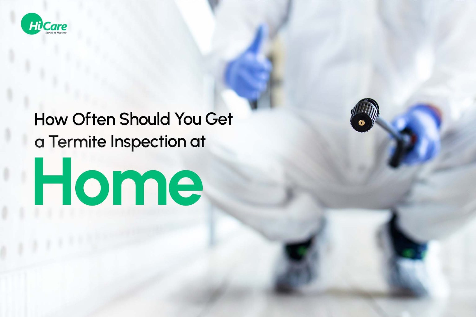 Termite Inspection: How Often and Why You Need it at Your Home