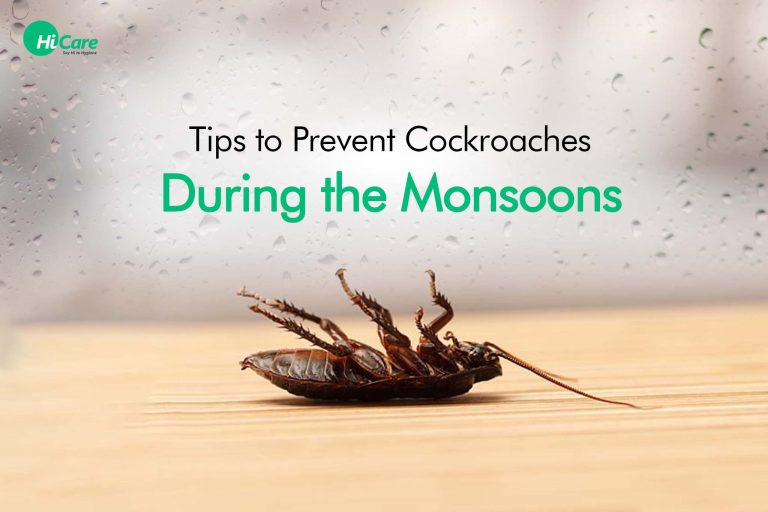 Top 10 Tips to Prevent Cockroaches During Monsoon | HiCare