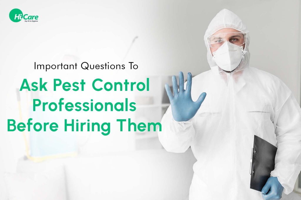 Top 12 Questions to Ask Before Hiring Pest Control Professionals