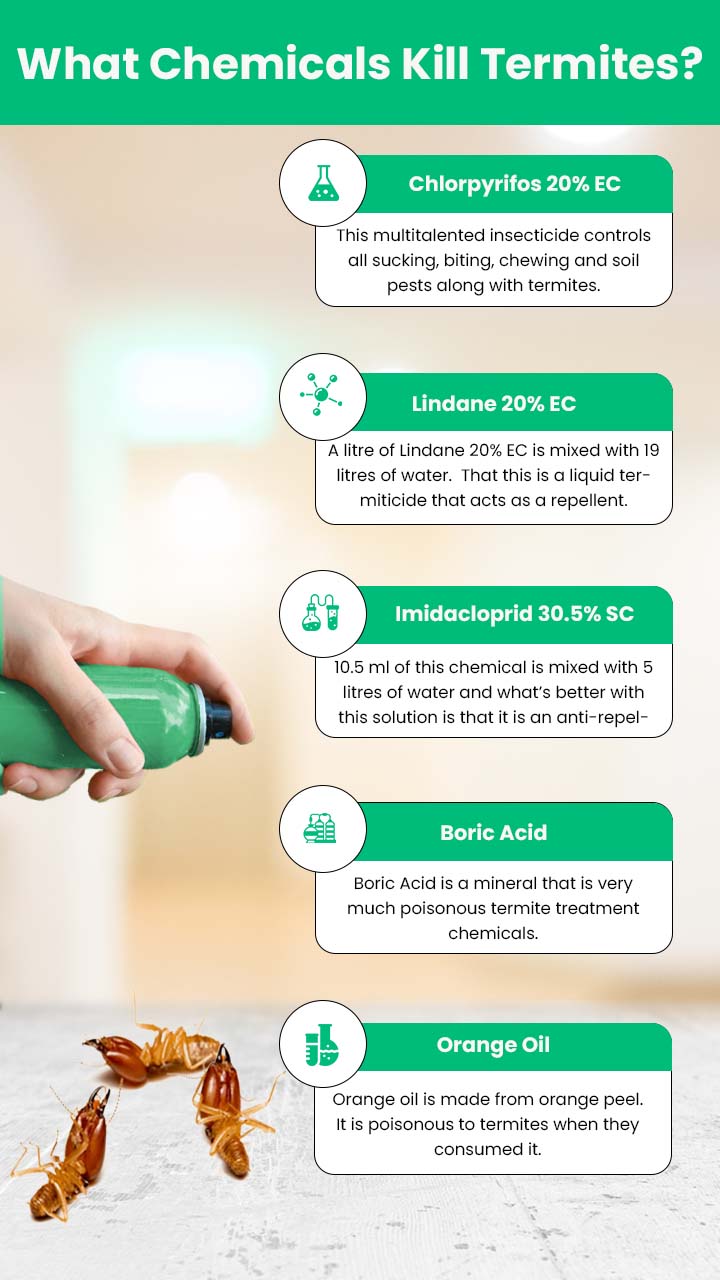 Top 10 Chemicals that Kills Termites Easily | HiCare