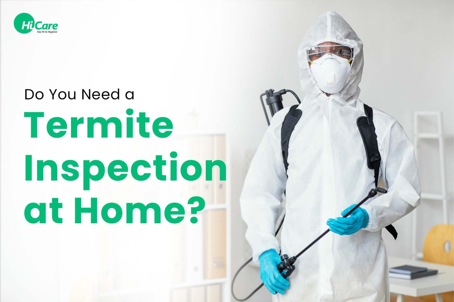 Top 5 Reasons of Booking a Termite Inspection at Home | HiCare