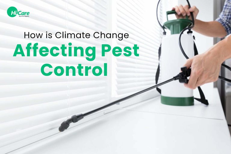 Top 5 Impact of Climate Change on Pest Control | HiCare
