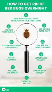Top 15 Tips to Get Rid of Bed Bugs Overnight | HiCare