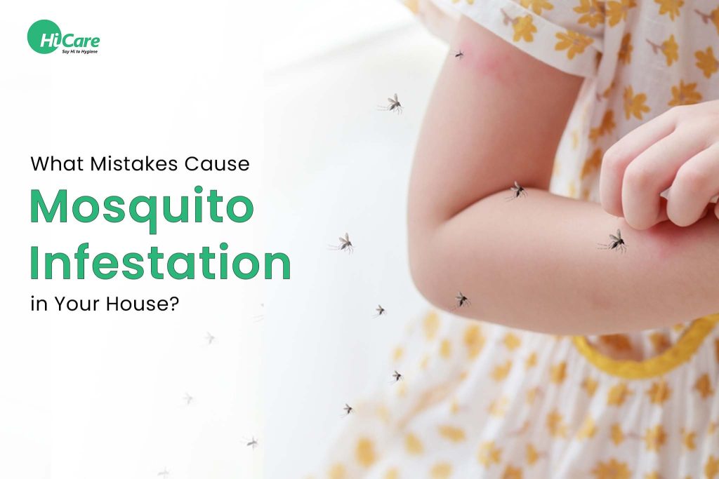 5 Mistakes that Cause Mosquito Infestation in Your House | HiCare