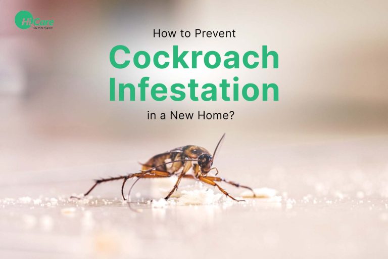 Best Ways to Prevent Cockroach Infestation in New Homes | HiCare