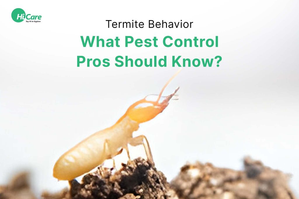 Termite Behavior – Pest Control Pros Should Know?