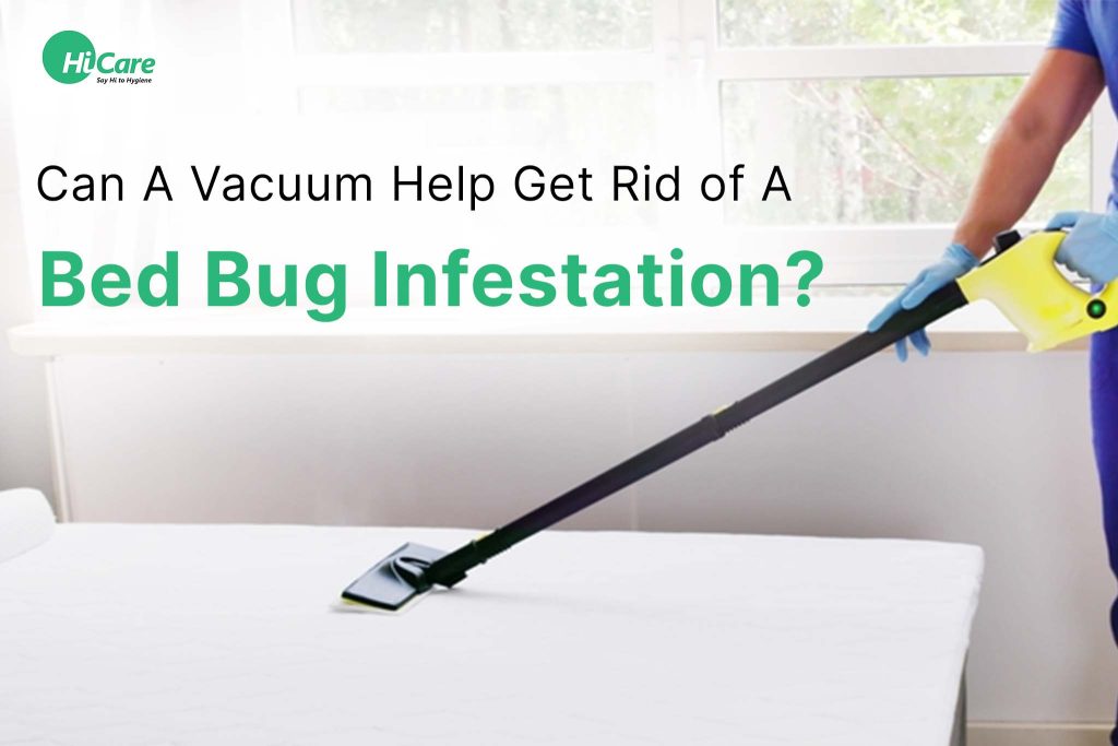 Best Tips on Using of Vacuum Cleaner to Get Rid of Bed Bugs