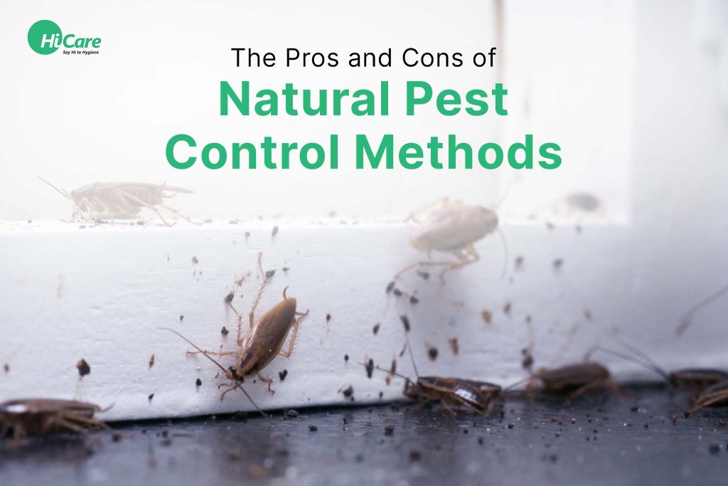 Pros and Cons of Natural Pest Control Methods | HiCare