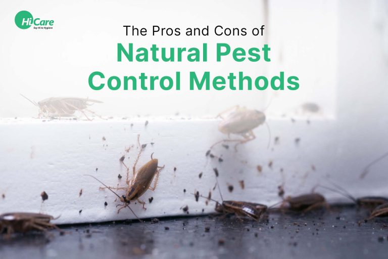 Pros and Cons of Natural Pest Control Methods | HiCare