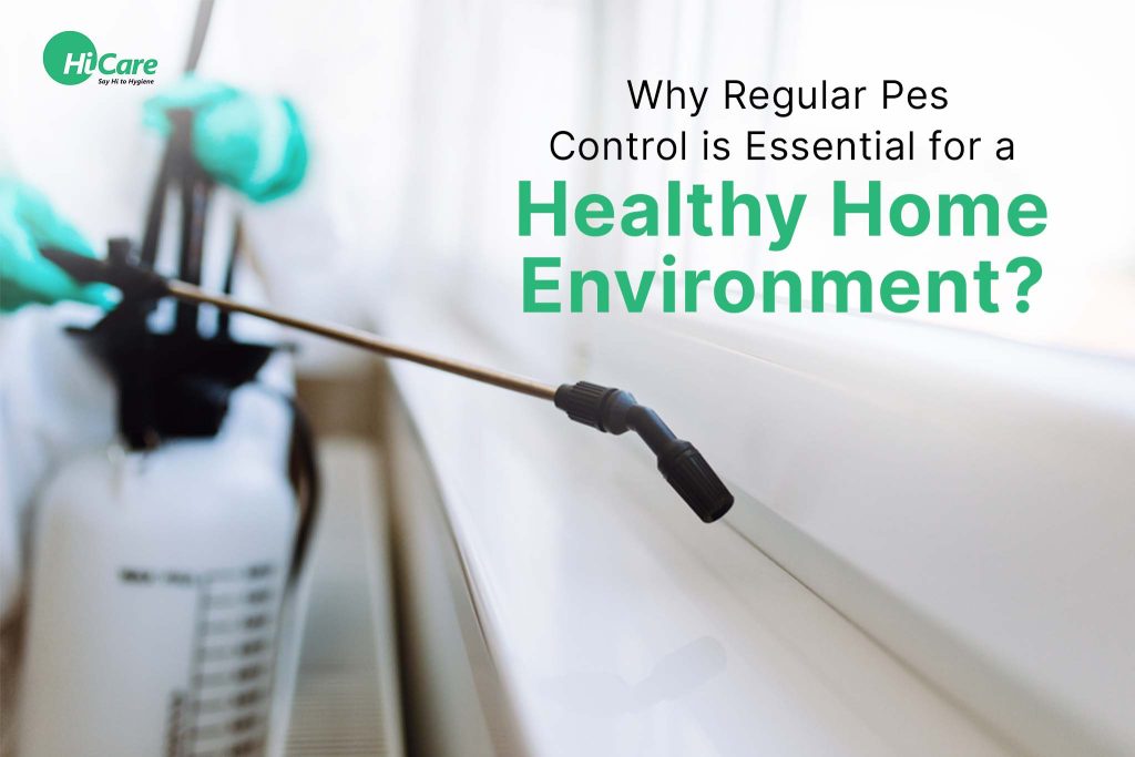 5 Advantages of Regular Pest Control for Healthy Home Environment