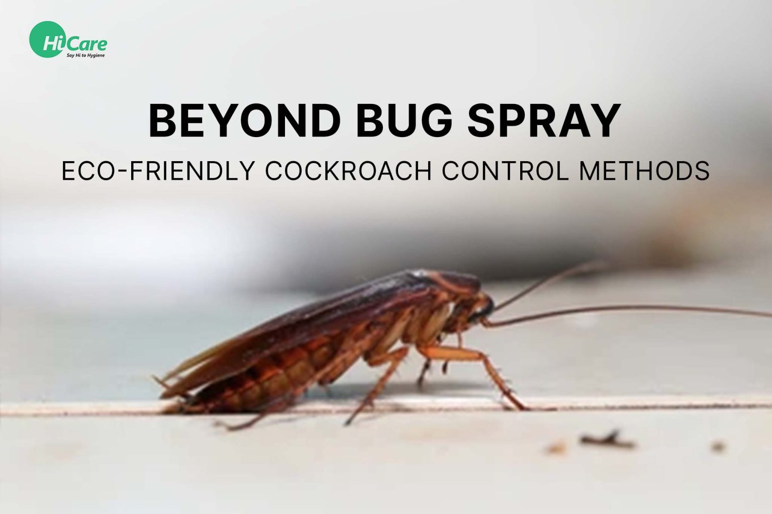 Eco-Friendly Cockroach Control: Best Ways to Get Rid of Roaches