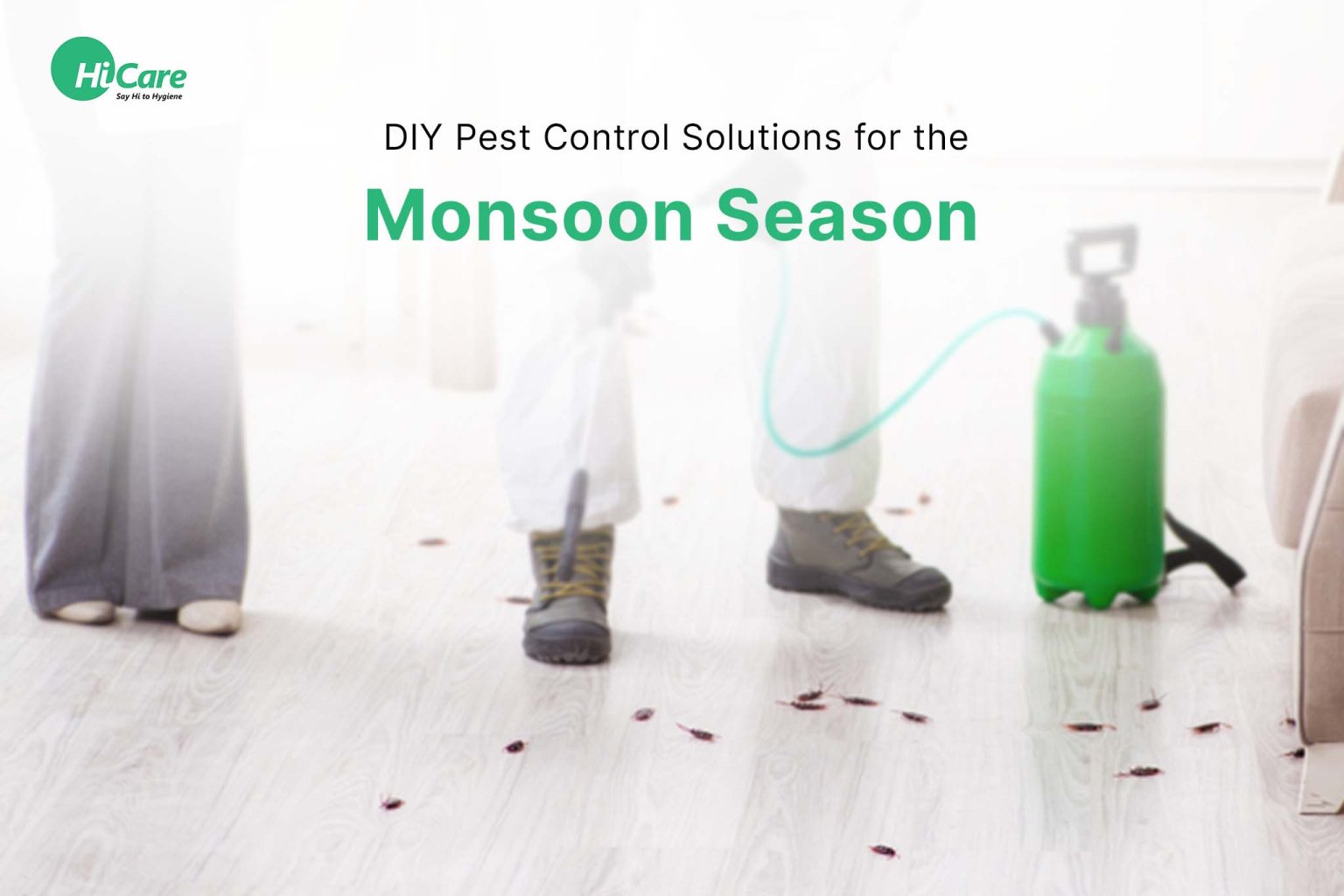 Top 5 DIY Pest Control Solutions for the Monsoon Season | HiCare