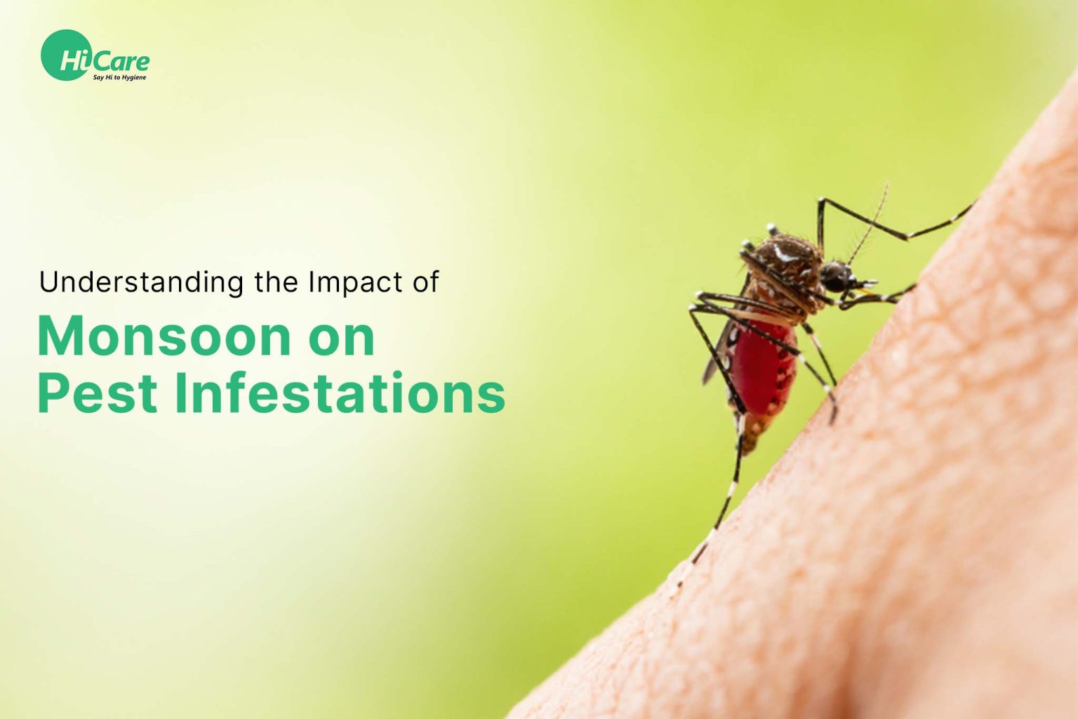 Understand the Impact of Monsoon on Pest Infestation with HiCare