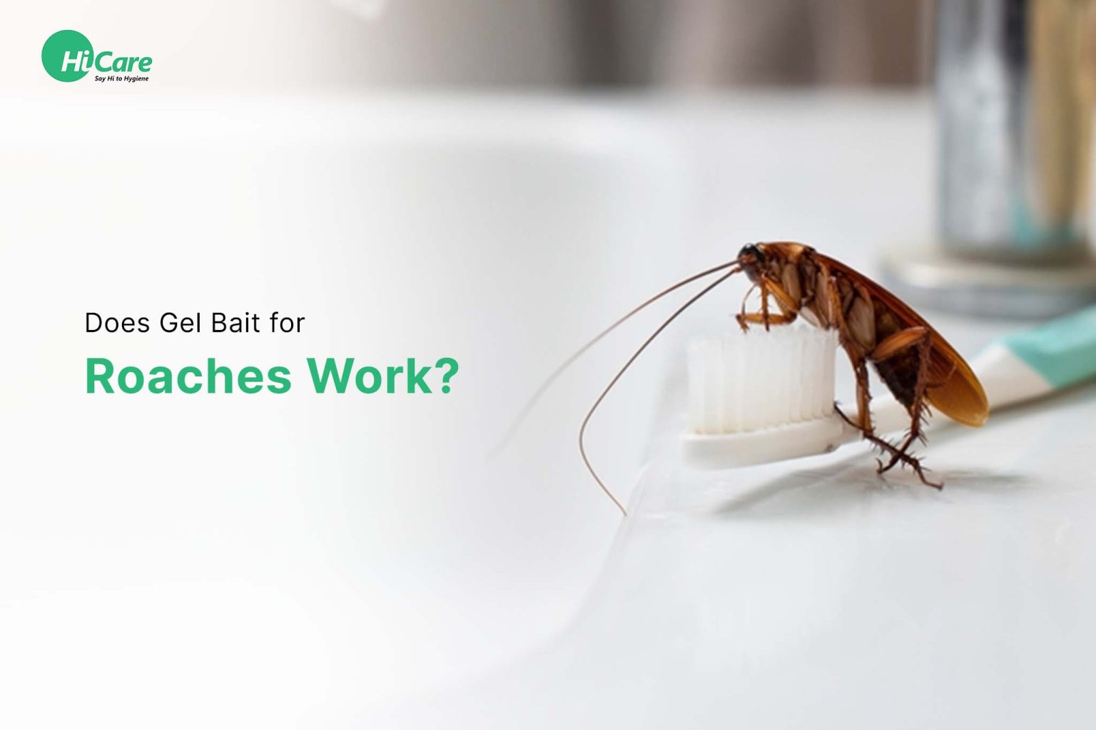 Important Information on Does Gel Bait Work for Cockroach Control