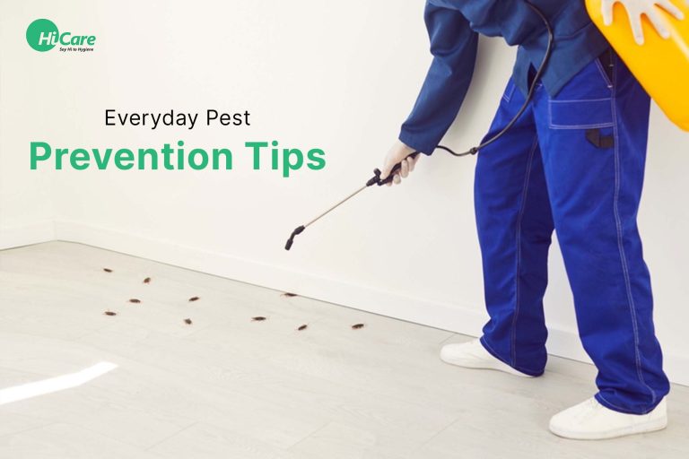 Top 7 Everyday Pest Control Tips | HiCare