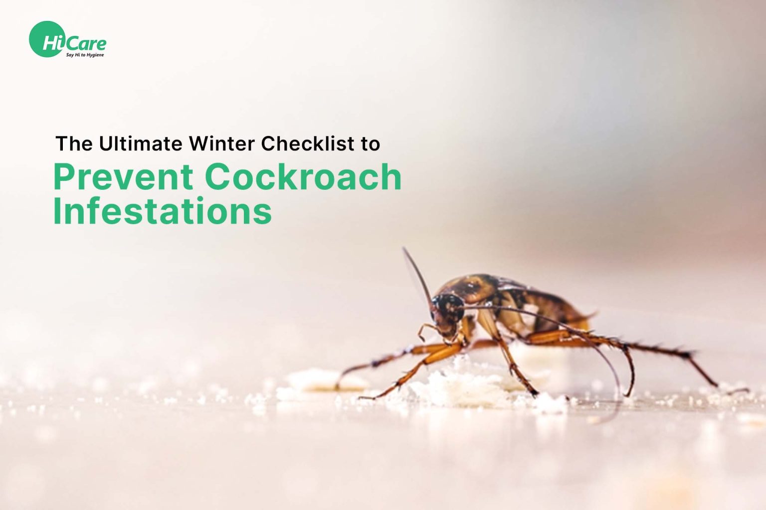 Best Winter Checklist for Preventing Cockroach Infestation