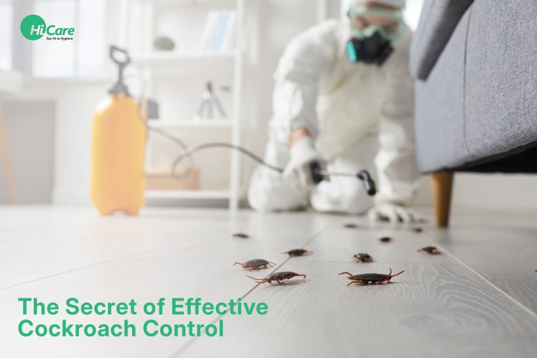 Top 5 Secrets of Effective Cockroach Control | HiCare