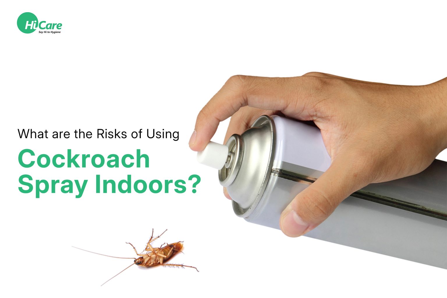 Risks of Using Cockroach Spray Indoors | HiCare