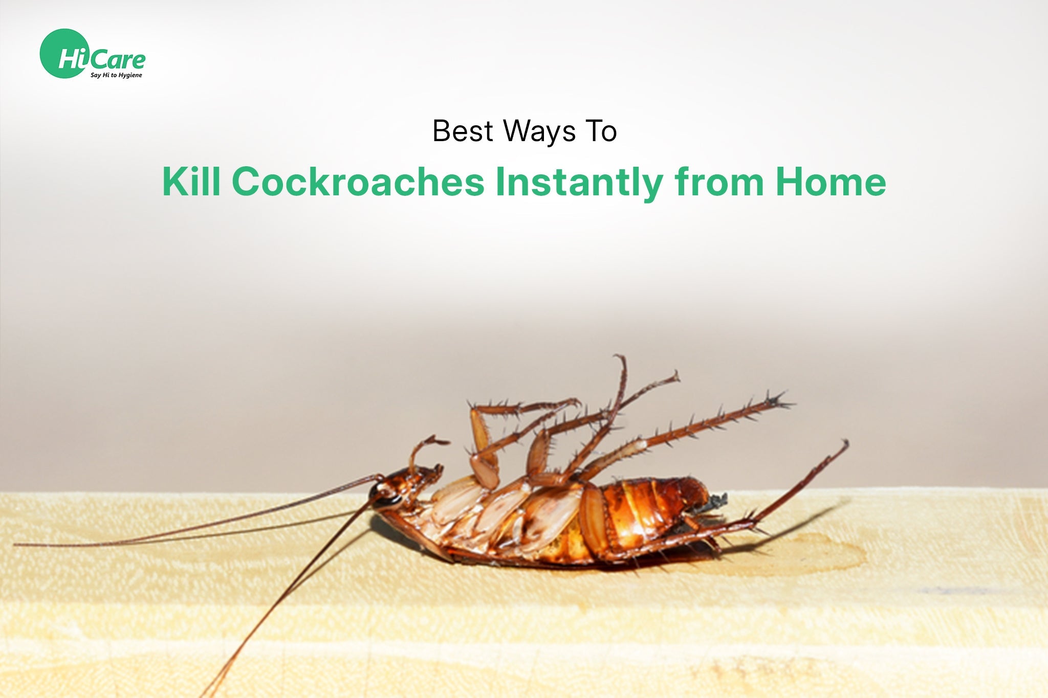 30 Best Ways to Get Rid of Cockroaches from Your Home Instantly ...