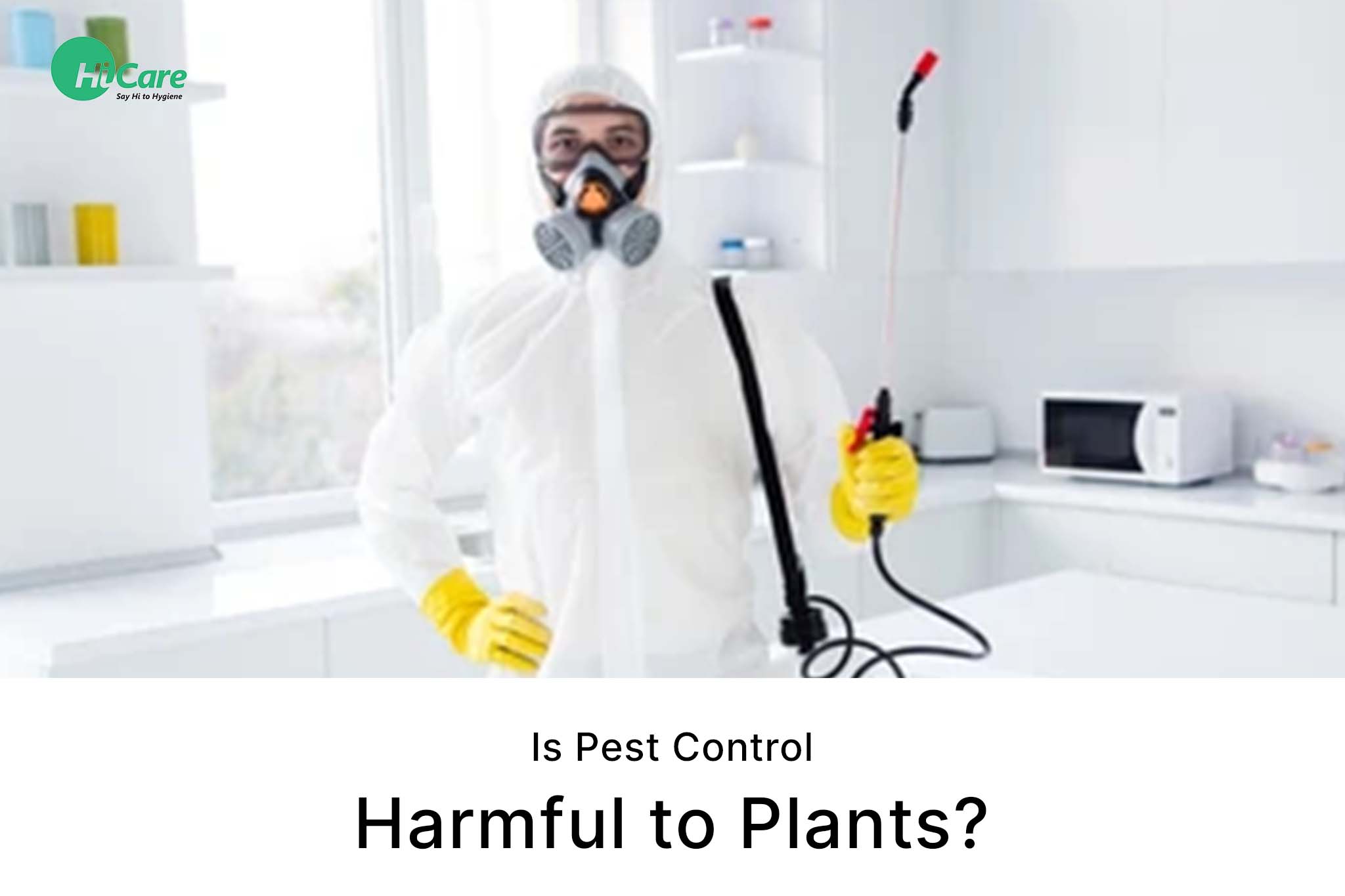 Is Pest Control Harmful to Plants | HiCare – HiCare (A Rentokil PCI ...