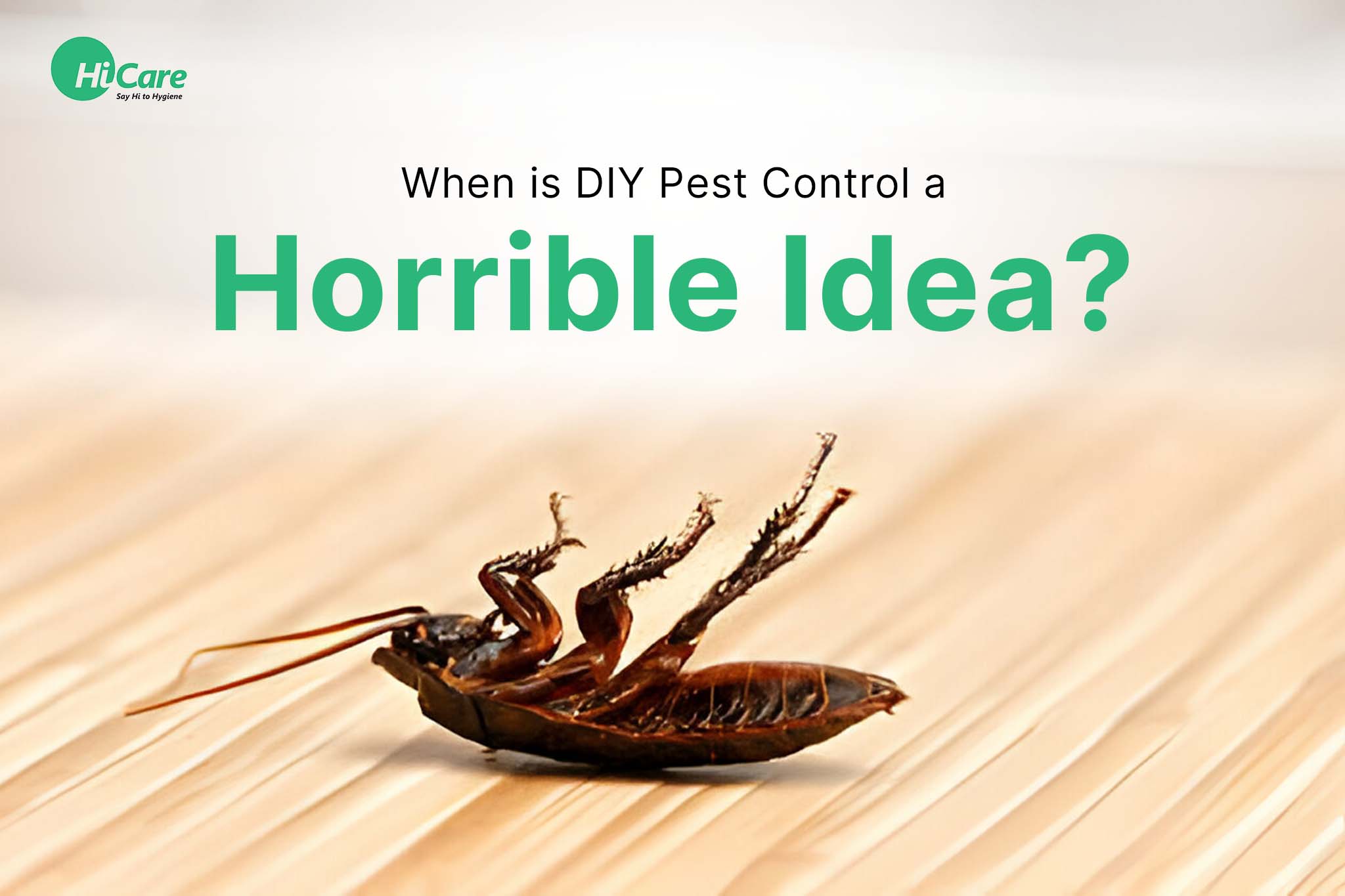 When is DIY Pest Control a Horrible Idea and Why | HiCare – HiCare (A ...