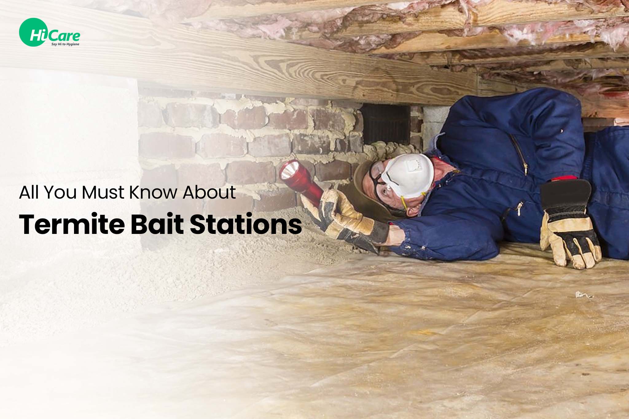 Termites Baits Stations: A Complete Guide – HiCare (A Rentokil PCI Company)